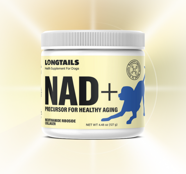 Do NAD Supplements Work for Dogs? Exploring the Benefits – LongTails.com